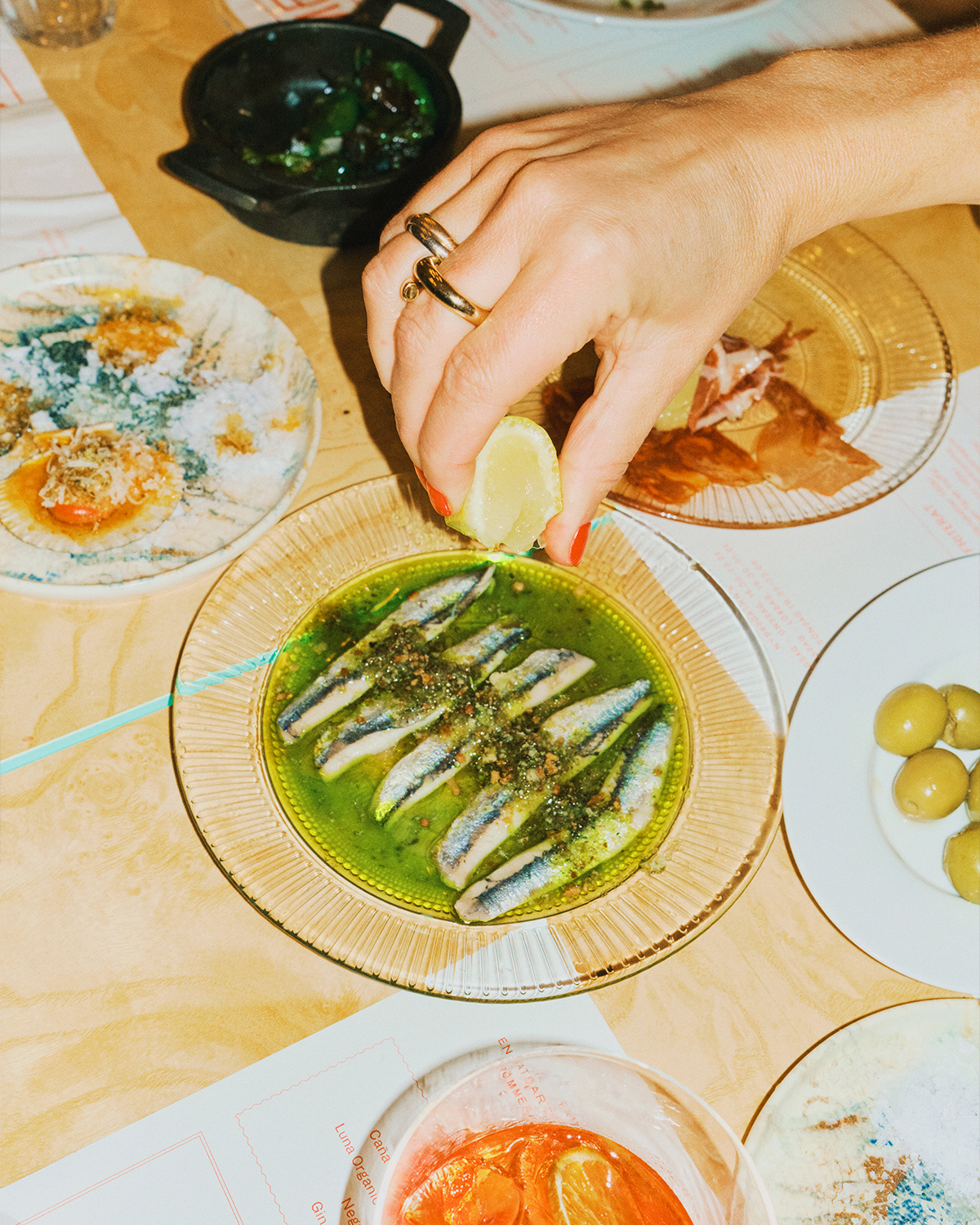 Frippe - Söderhavet